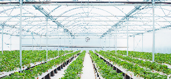 Exceed™ XP 7 performance PE grades